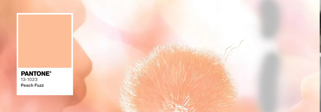 La couleur Pantone de 2024 : Peach Fuzz - TopTex Blog La couleur Pantone de 2024 : Peach Fuzz - TopTex Blog